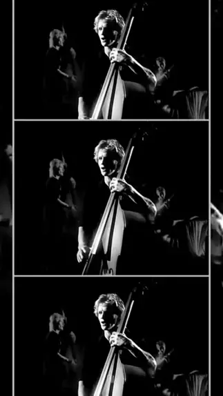 bashid mclean photo no blur