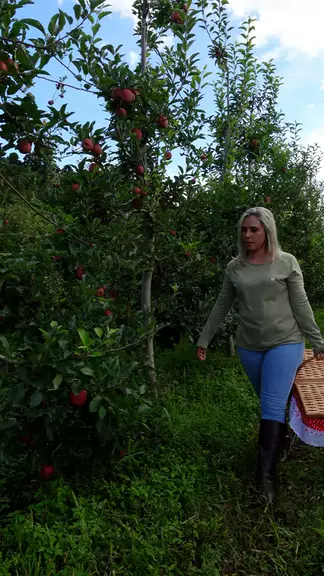 Brazilian Adventure ASMR 🍎