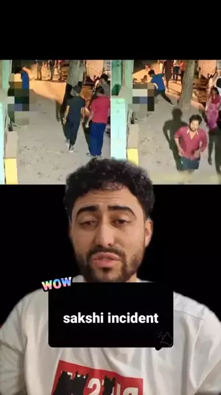 b14 dolphin incident