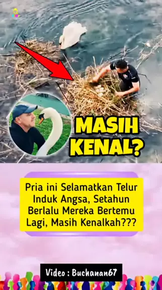 kylie quinn buchanan