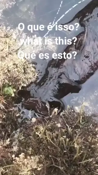 what is opoxv & what is s.opoxv.com| Discover