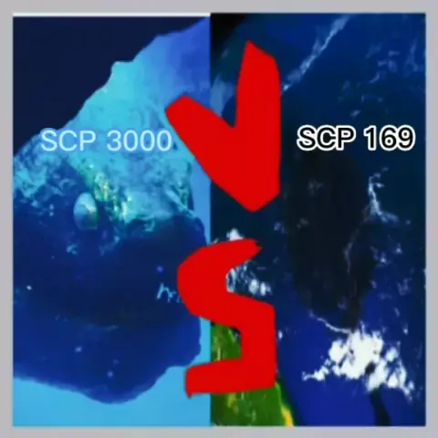 scp 169 & scp 169 vs scp 3000| Discover