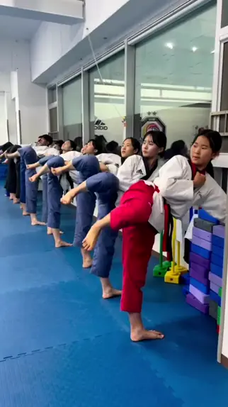 private karate lesson game full video