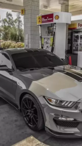 imx.to silverstar | Discover