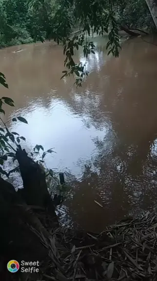 sweet_ary+leaks | Discover